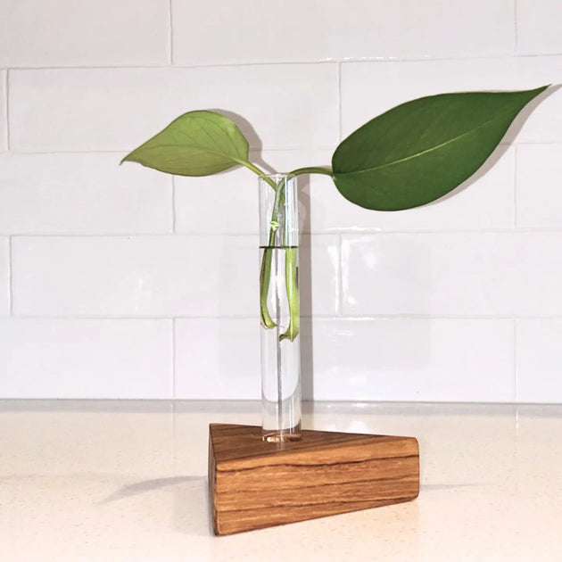 Teak Triangle Propagation Vase – Mango & Main